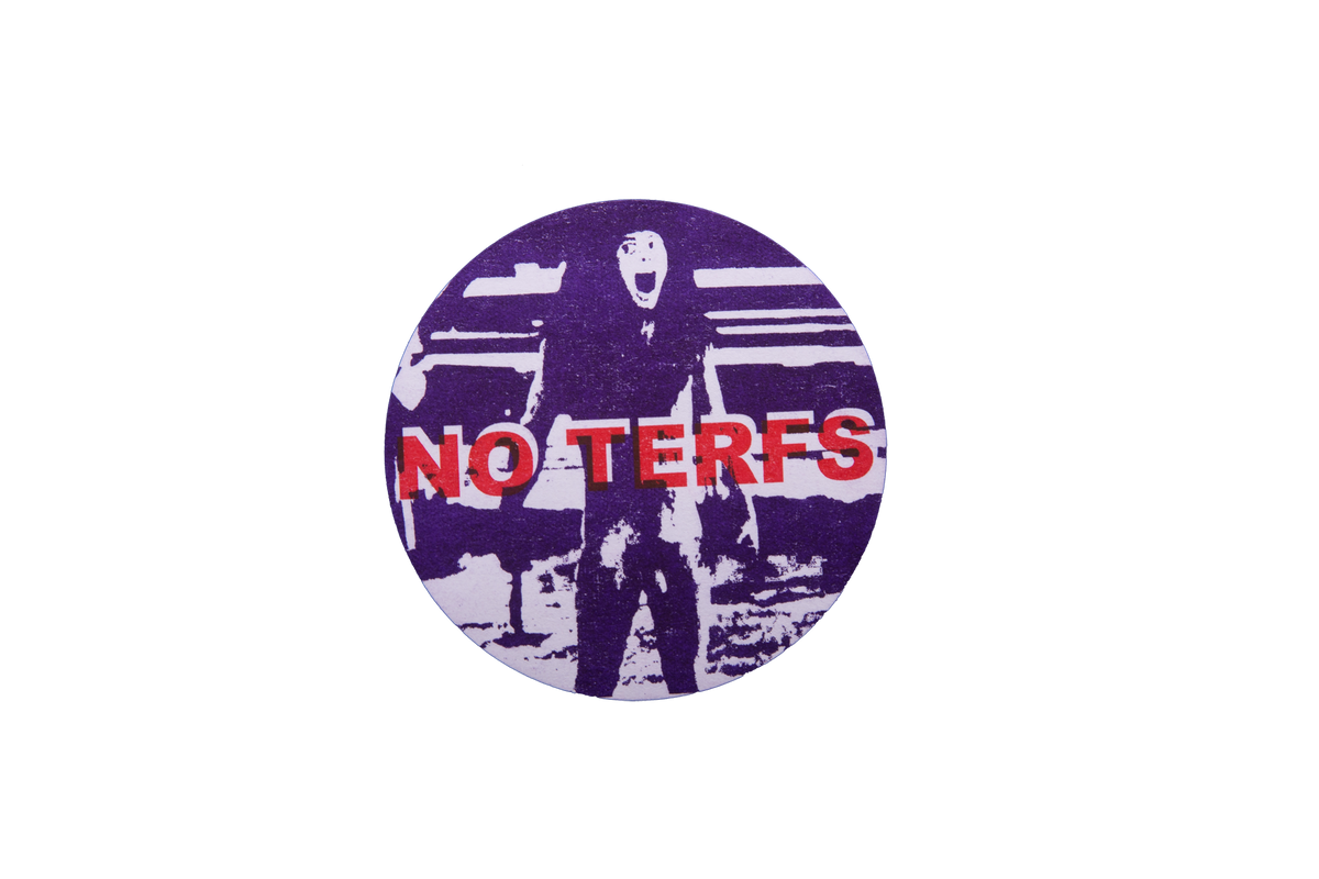 NO TERFS Stickers (Set of 5, WEATHER RESISTANT) – Diskette Press